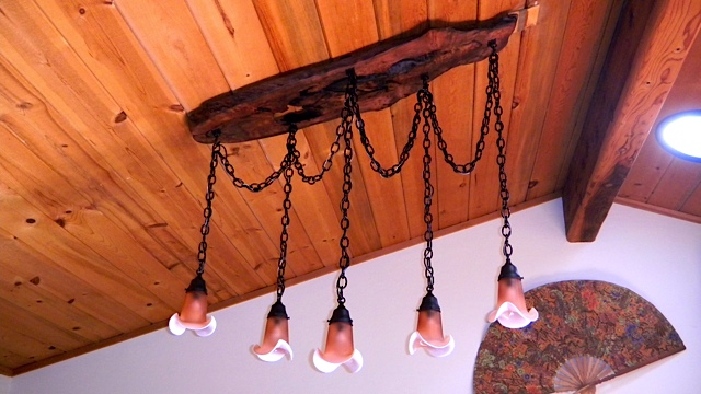 ceiling_light_fixture – Anderson's Alternatives